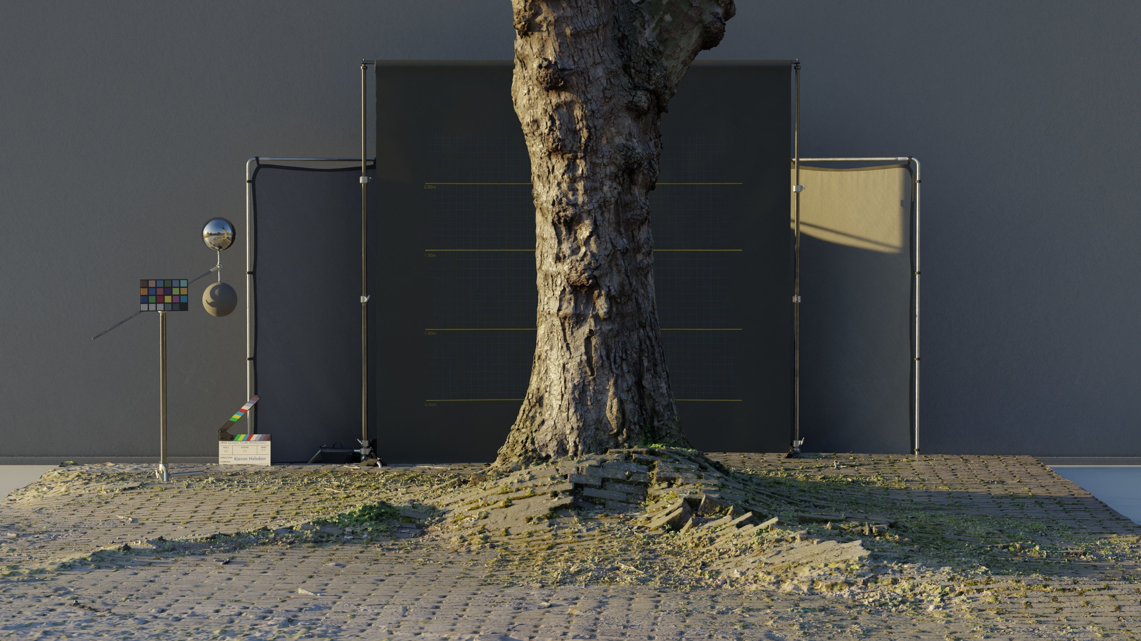 3D model Photogrammetry Model of a London Plane Tree with Broken Ground ...