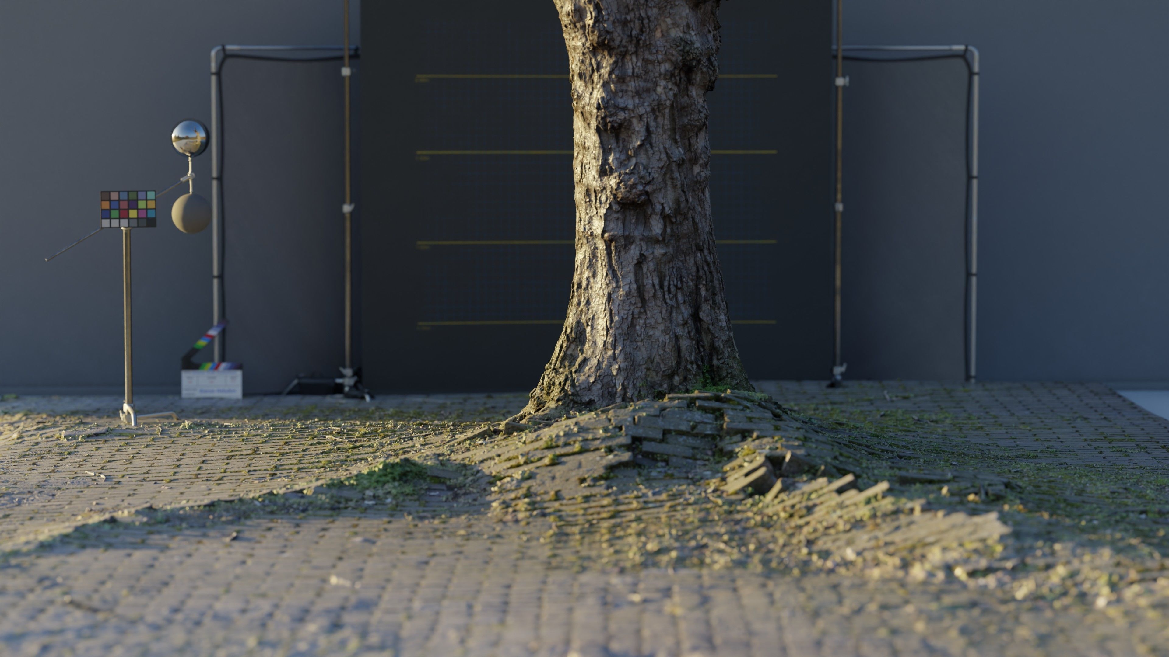 3D model Photogrammetry Model of a London Plane Tree with Broken Ground ...