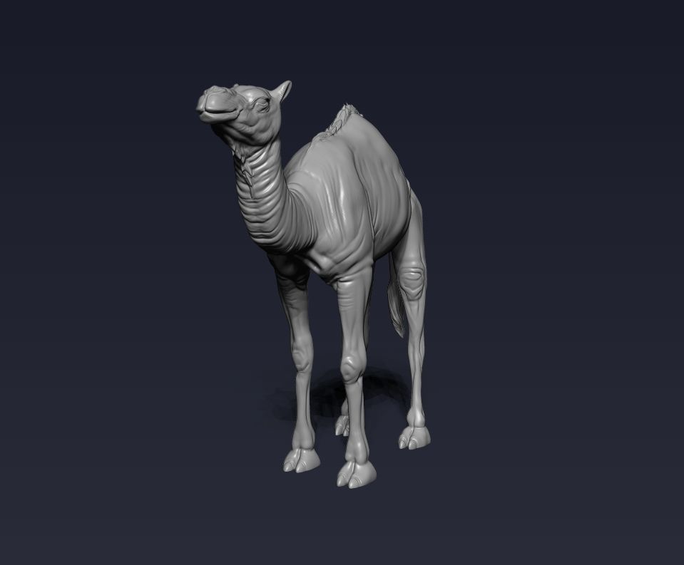 Camel 3D model ready to print 3D model 3D printable | CGTrader