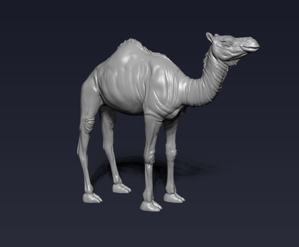 Camel 3D model ready to print 3D model 3D printable | CGTrader