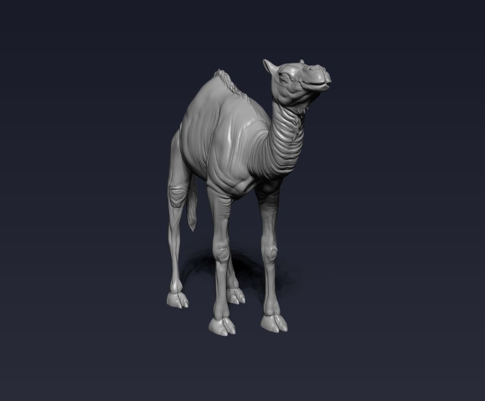 Camel 3D model ready to print 3D model 3D printable | CGTrader