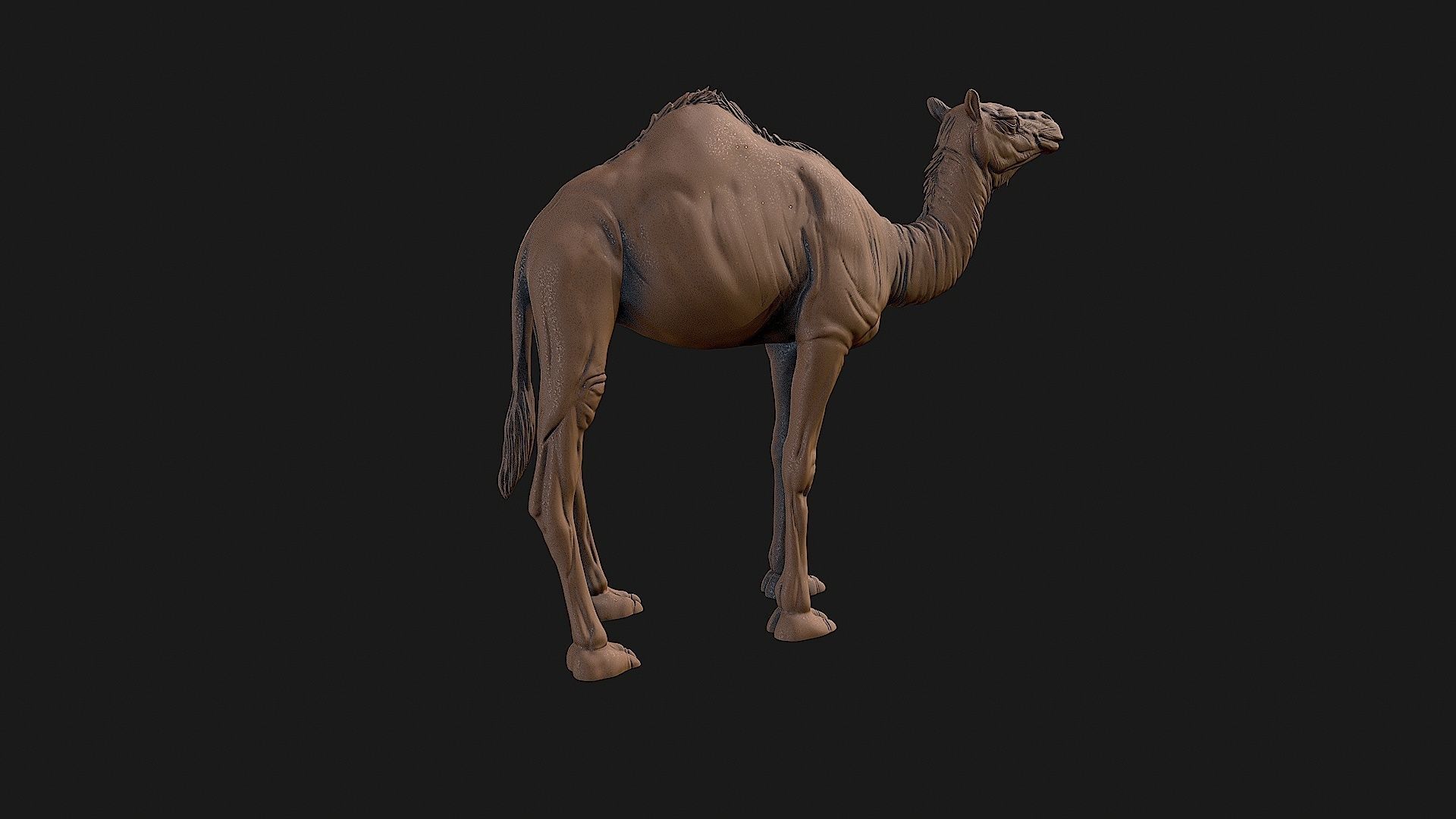 Camel 3D model ready to print 3D model 3D printable | CGTrader
