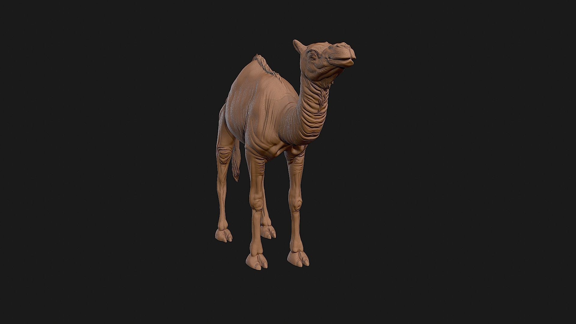 Camel 3D model ready to print 3D model 3D printable | CGTrader