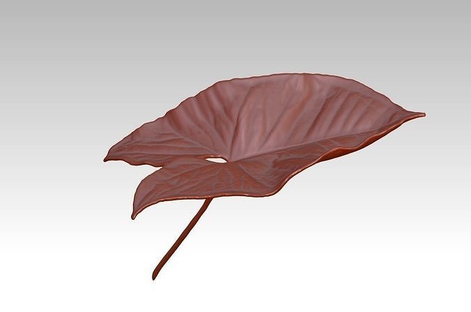 Plant leaf 3D printing STL sculpture 3D Carapace leaf ZB brush 3D model 3D printable | CGTrader