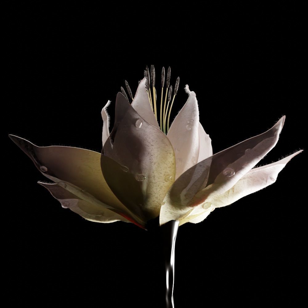 Unique Flower 07 3D model | CGTrader