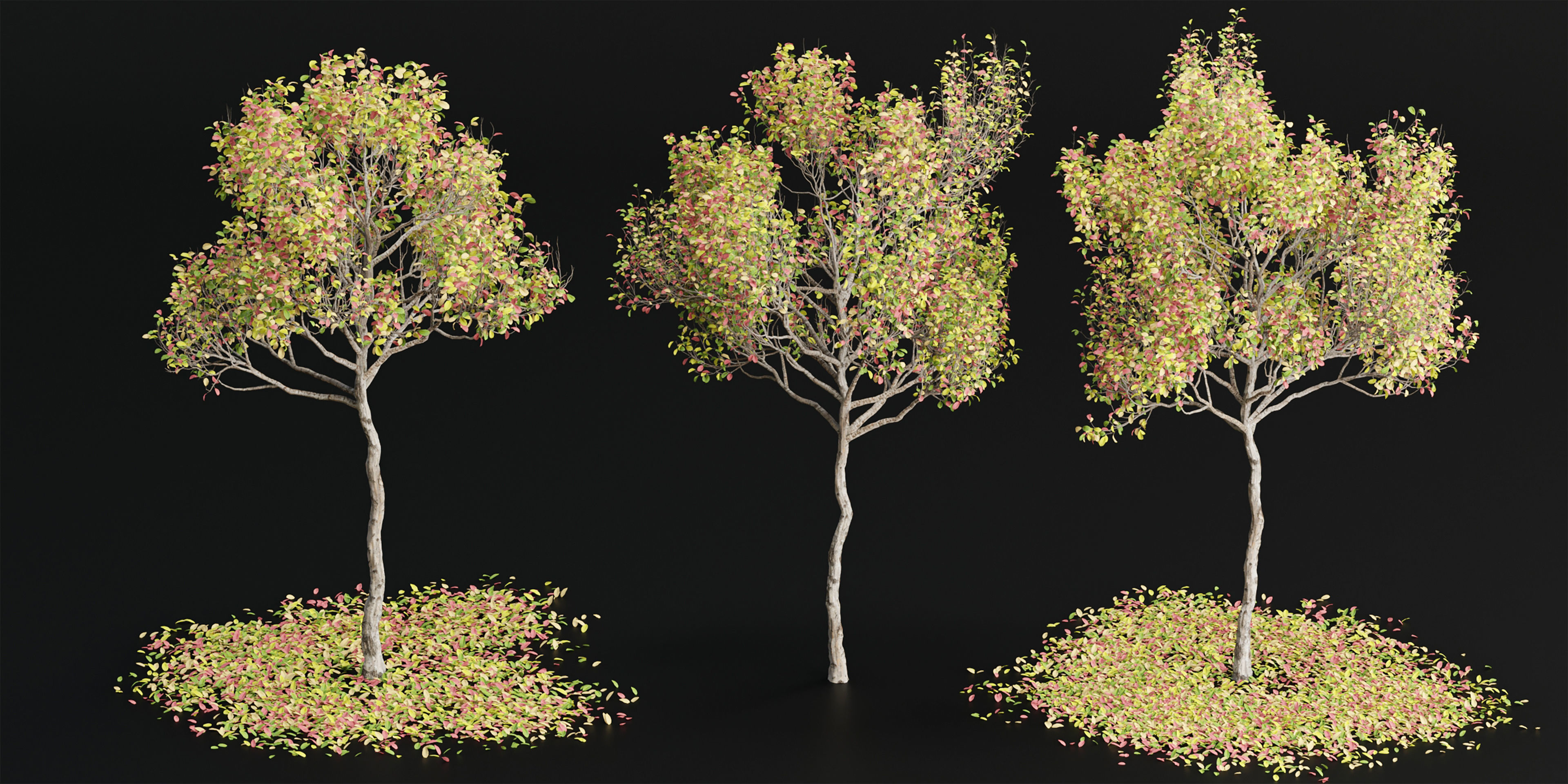 Autumn trees collection vol 32-Blender 3D model | CGTrader