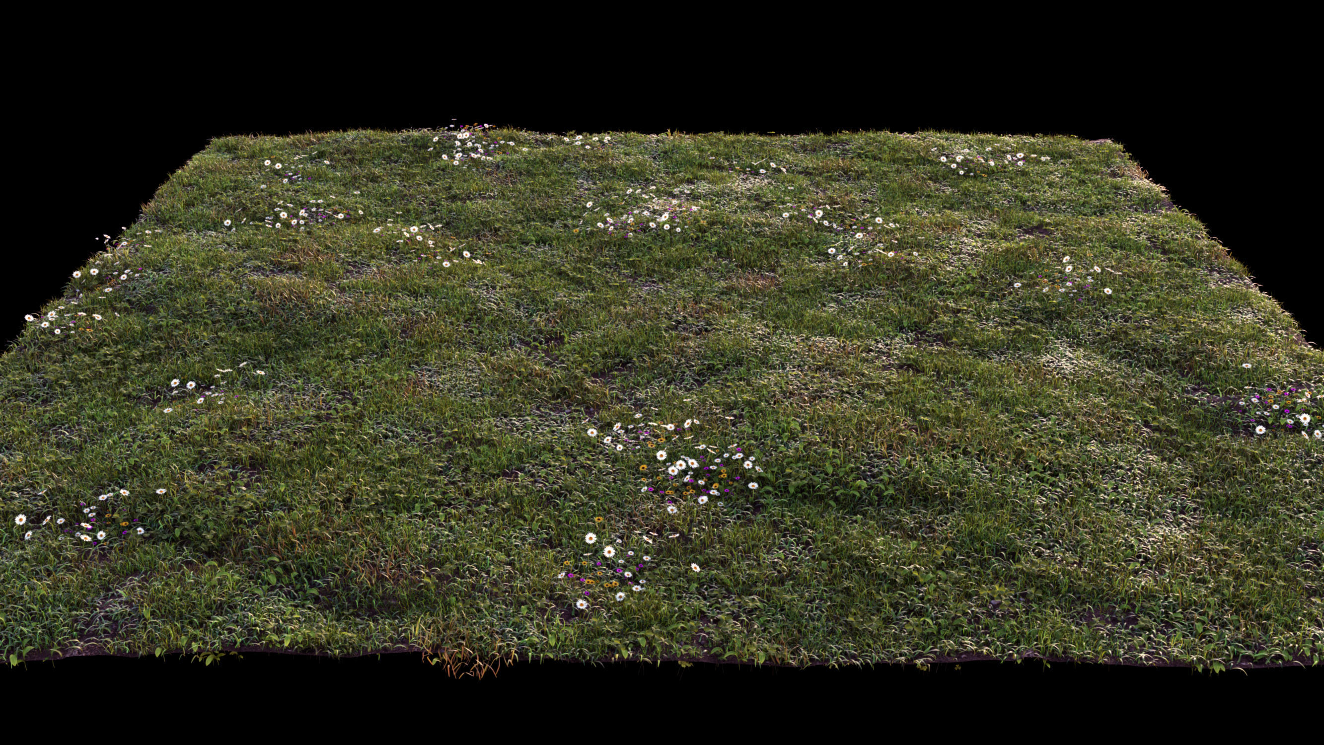 Grass setup - Chaos scatter for Cinema 4D and Corona 3D model | CGTrader
