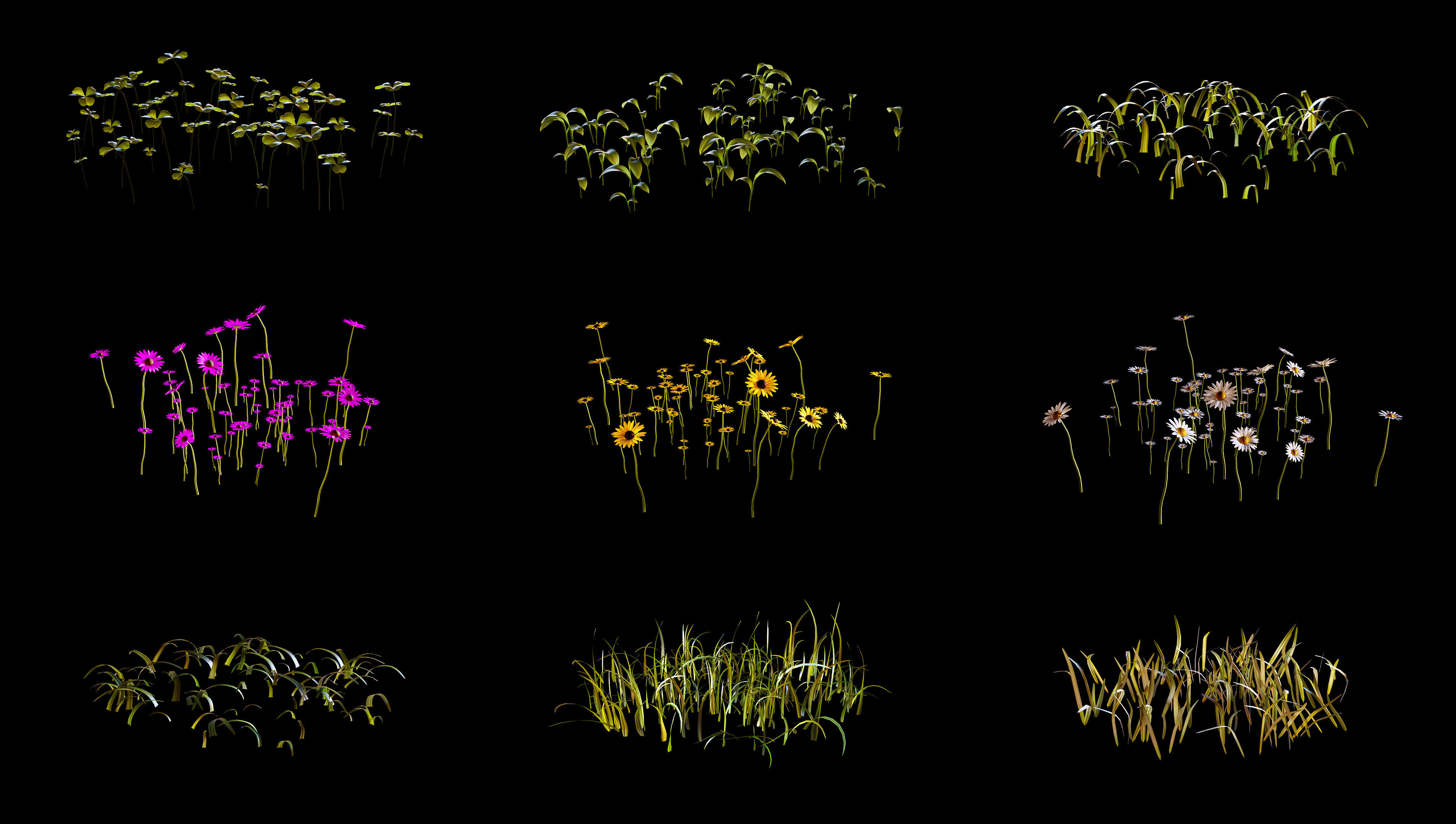 Grass setup - Chaos scatter for Cinema 4D and Corona 3D model | CGTrader