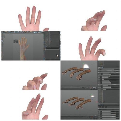 Female Right Hand Reference
