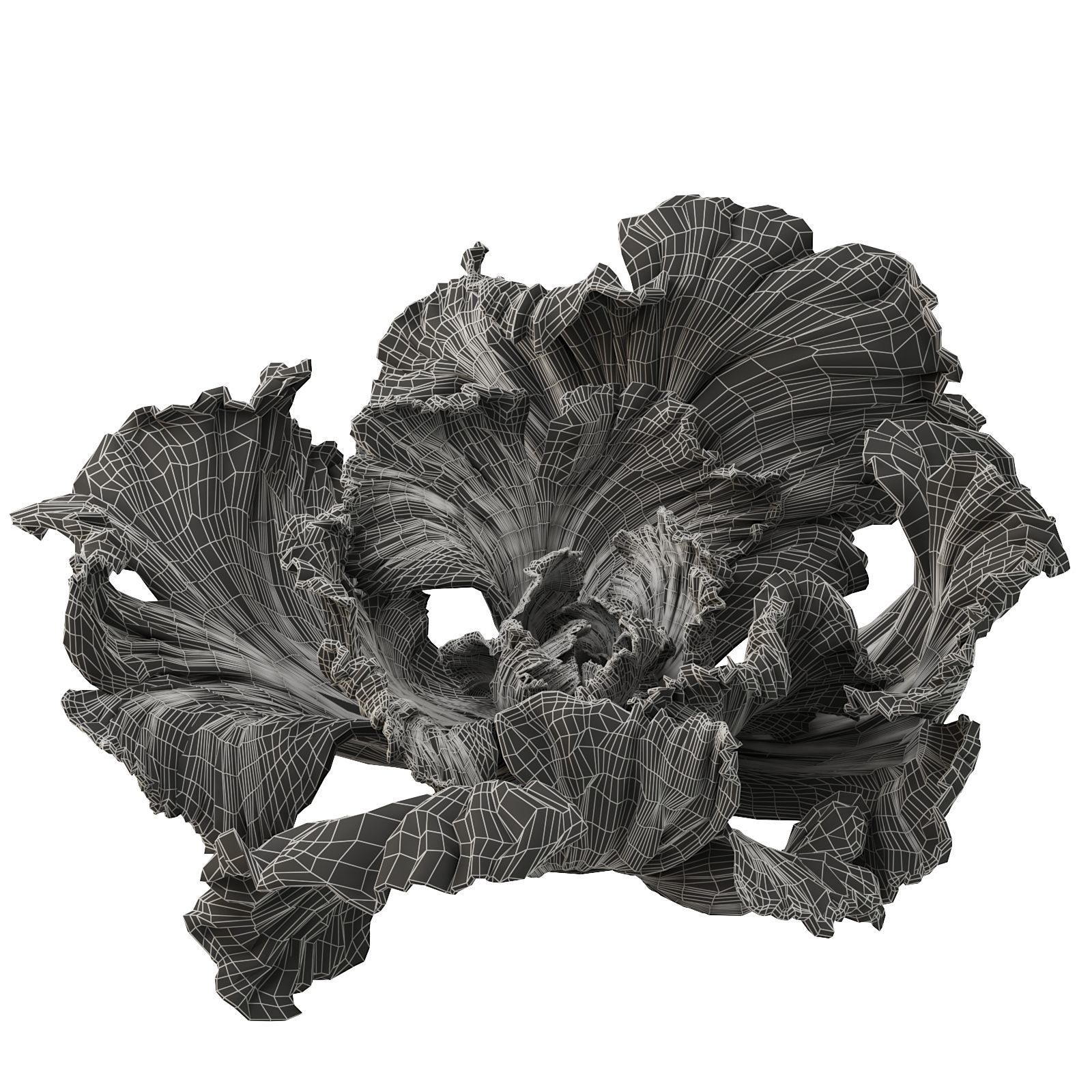 Gypsum flower 3D model | CGTrader