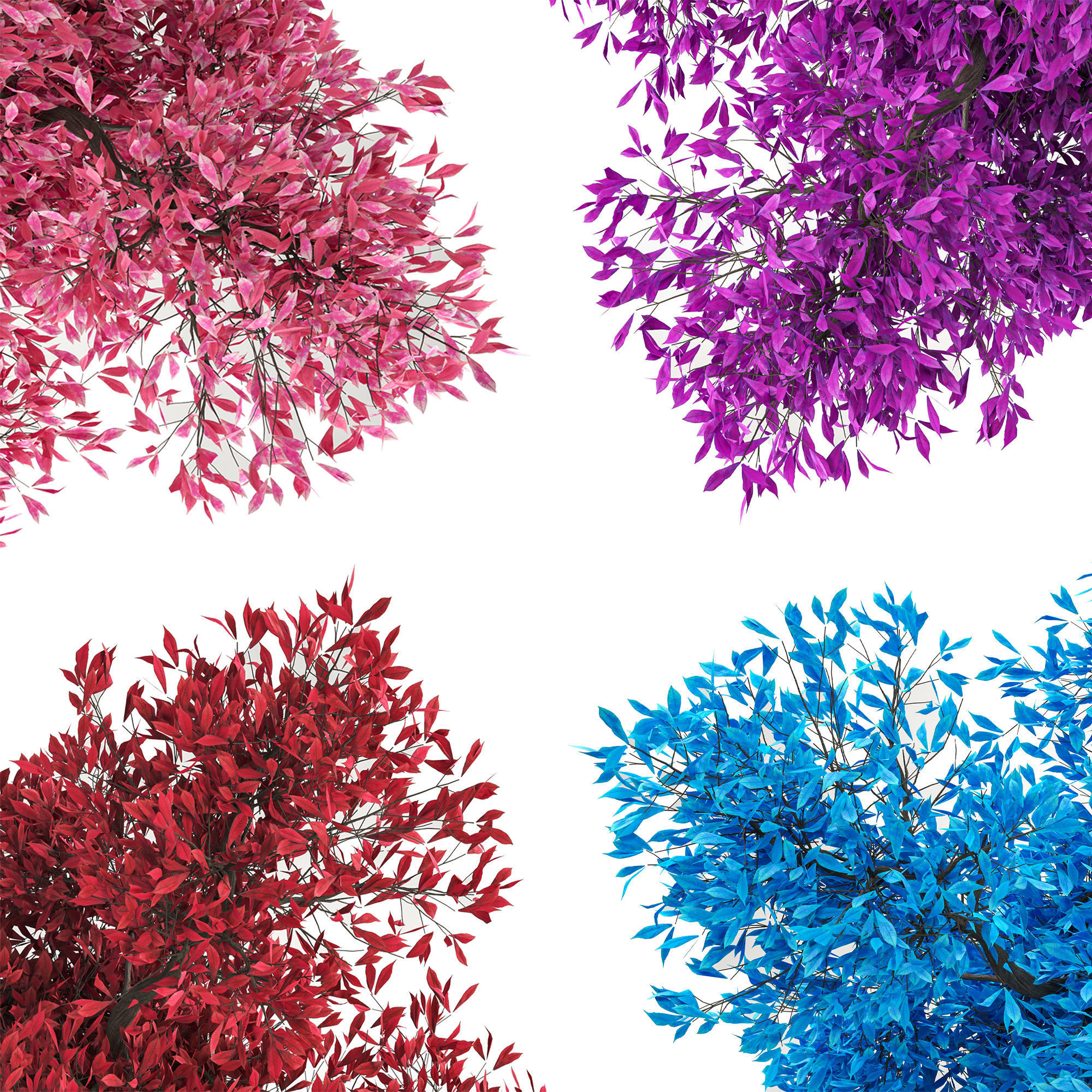 Fantasy tree free 3D model | CGTrader