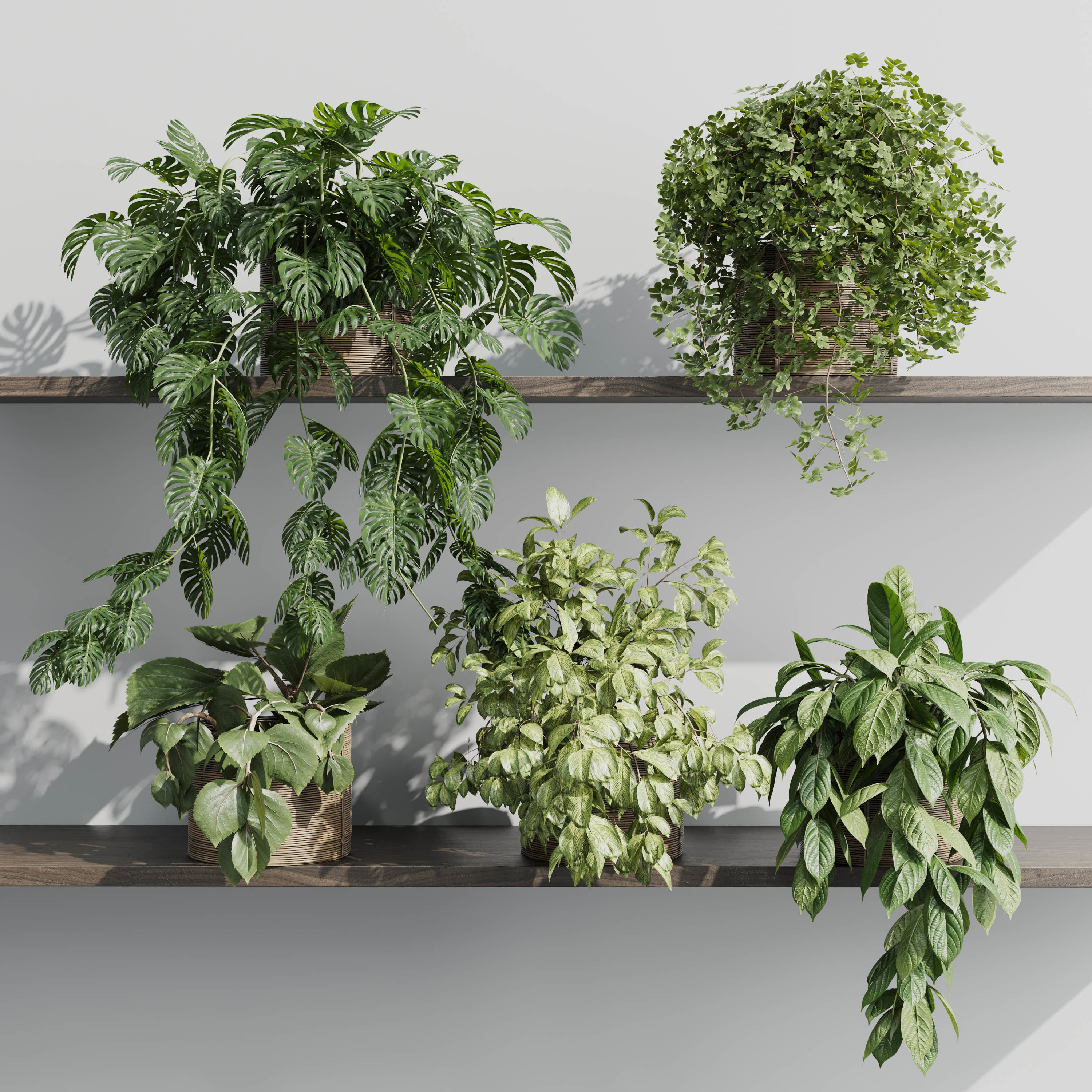 3D model wall plant - set Indoor plant 408 plants on shelf VR / AR ...