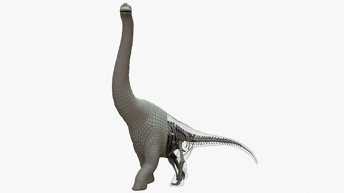 Brachiosaurus Skeleton Model