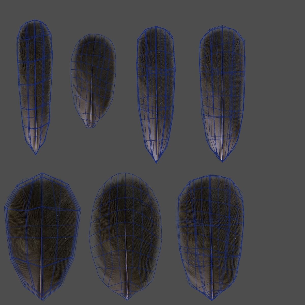 OriolusTraillii Animation VFX Grace 3D model animated rigged | CGTrader