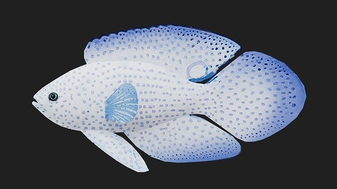 Plesiops 3D model rigged | CGTrader