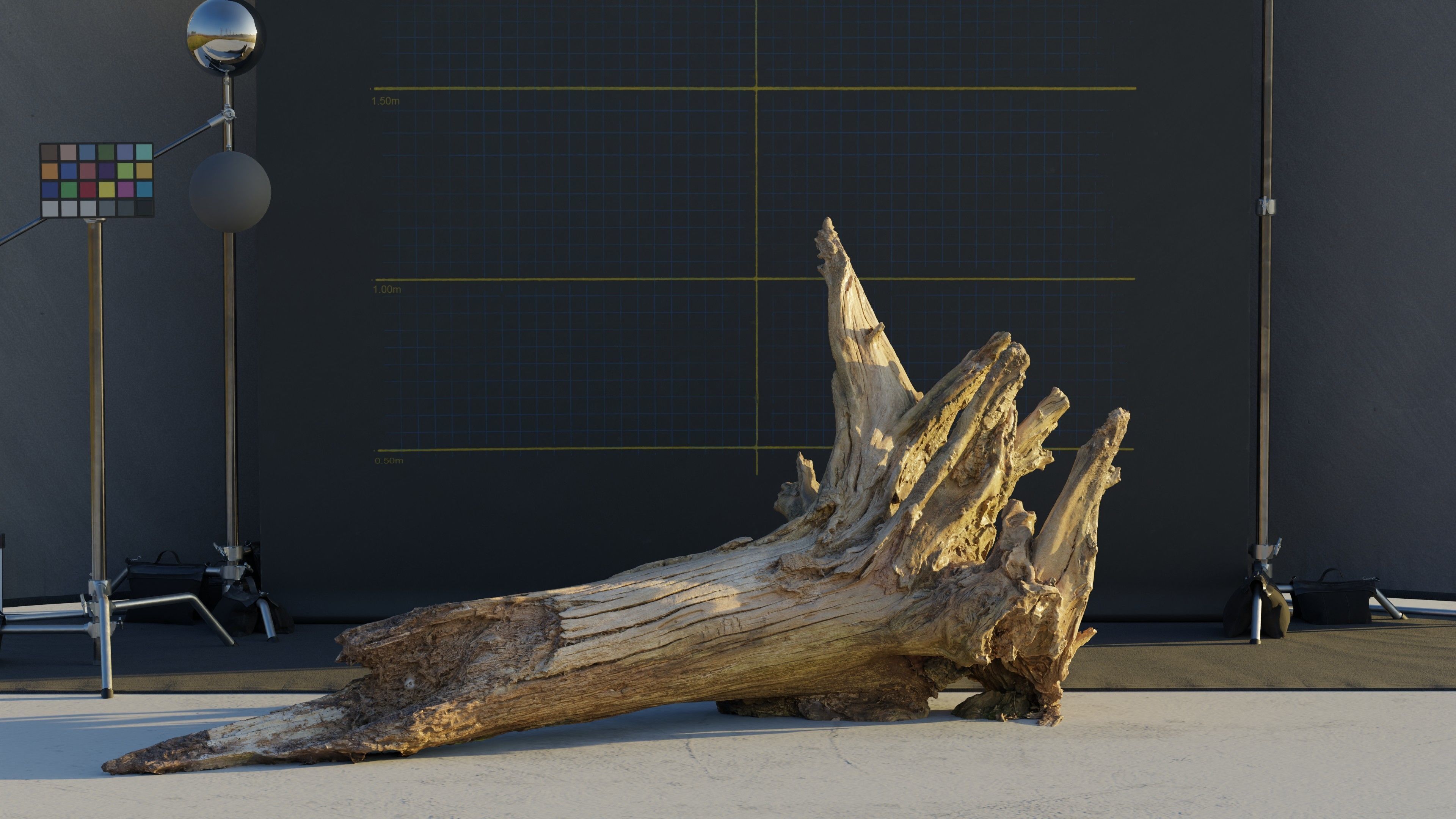 3D model Photogrammetry Model of a Fallen Tree Stump VR / AR / low-poly ...