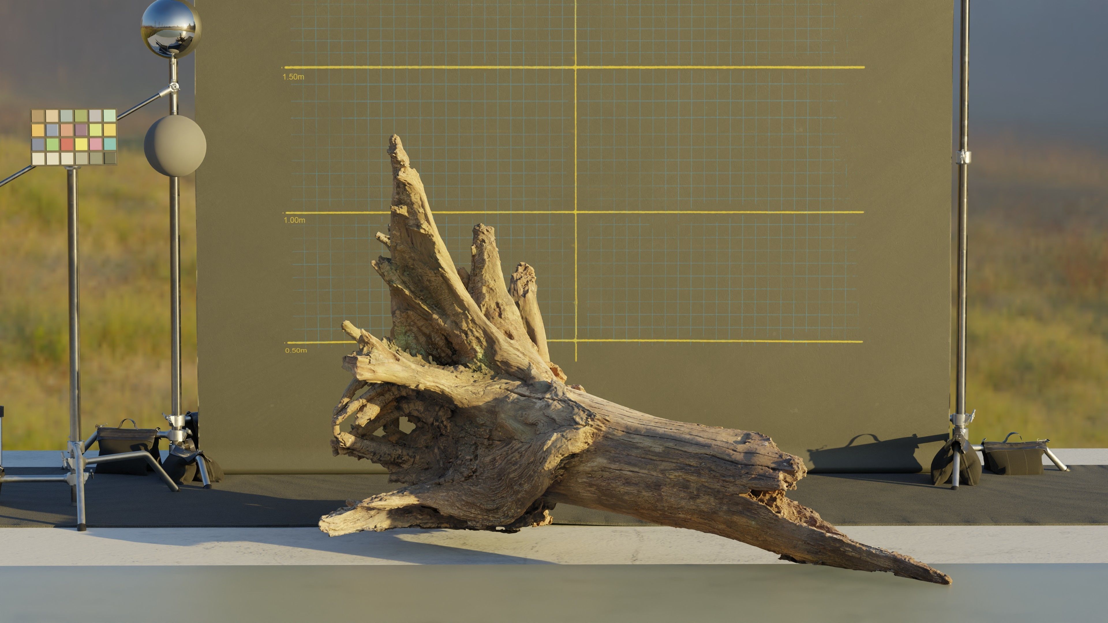 3D model Photogrammetry Model of a Fallen Tree Stump VR / AR / low-poly ...