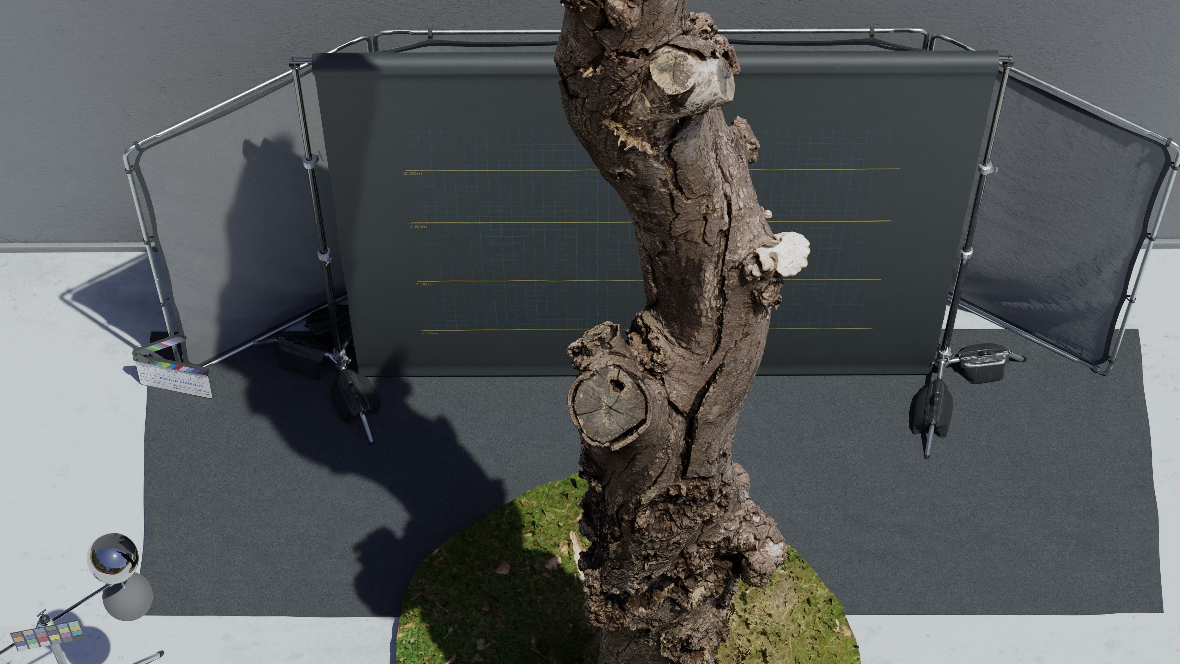 3D model Photogrammetry Dead Tree - Tall and Gnarly VR / AR / low-poly ...