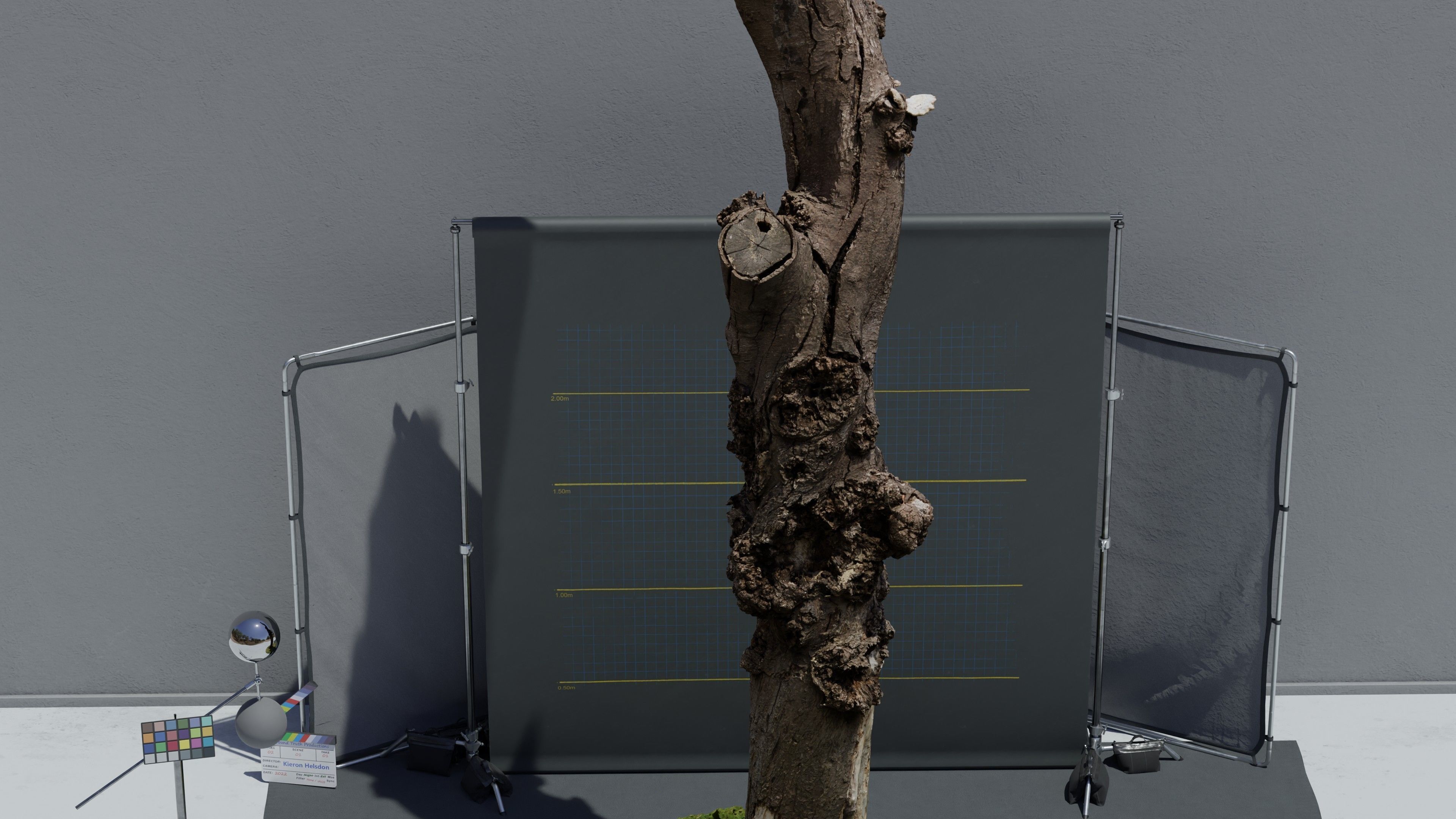 3D model Photogrammetry Dead Tree - Tall and Gnarly VR / AR / low-poly ...