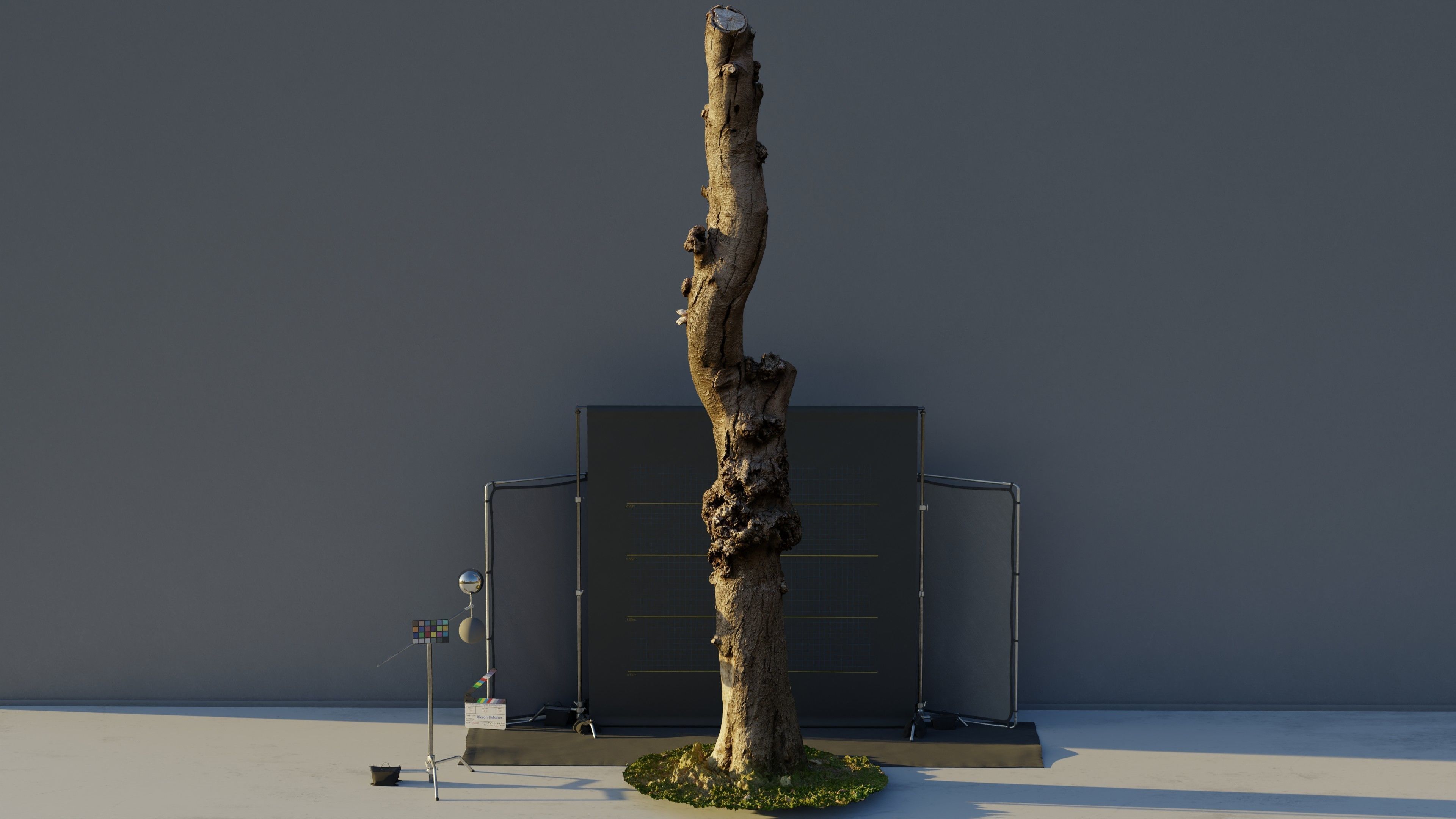 3D model Photogrammetry Dead Tree - Tall and Gnarly VR / AR / low-poly ...