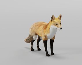 Animal 3D Models | CGTrader