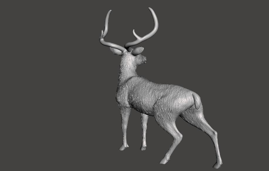 deer chinkara 3D model 3D printable | CGTrader
