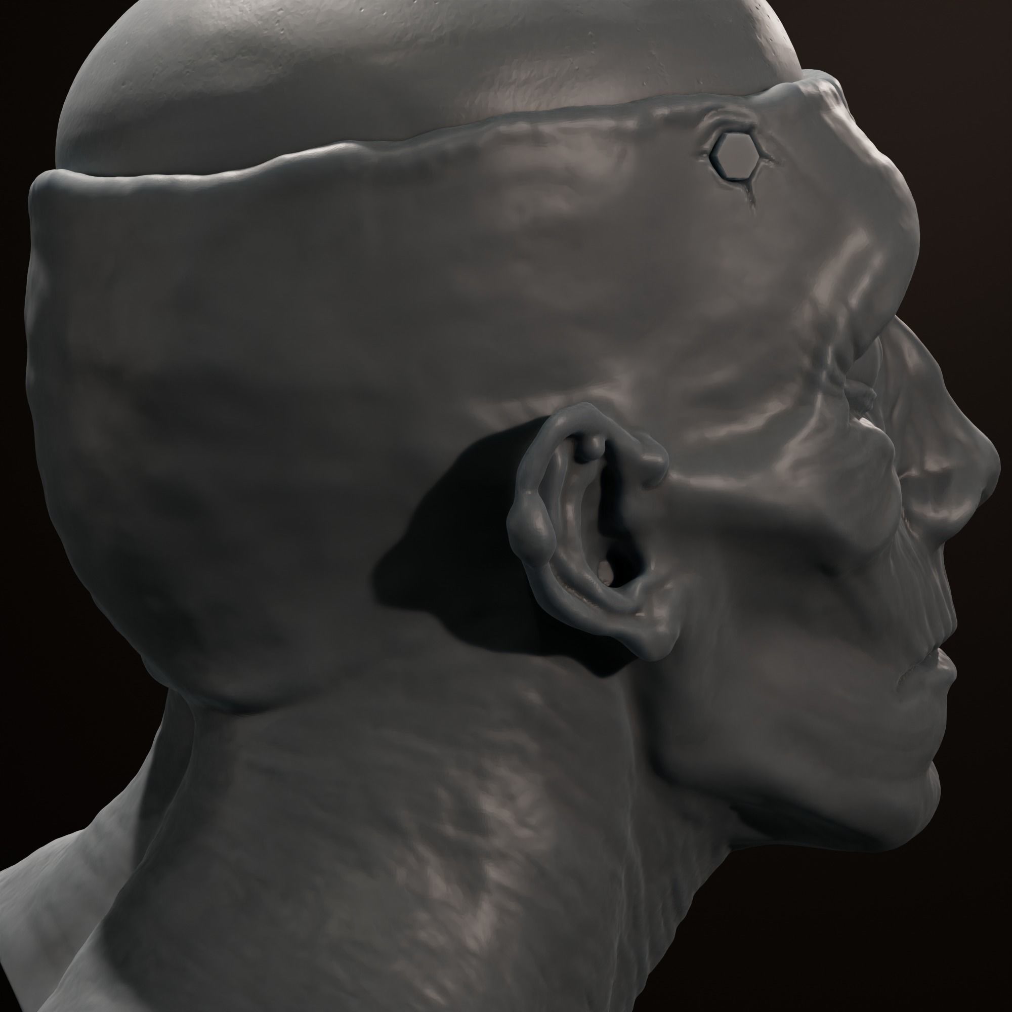 Monster Bust Metal Head Jordu Schell 3D model 3D printable | CGTrader