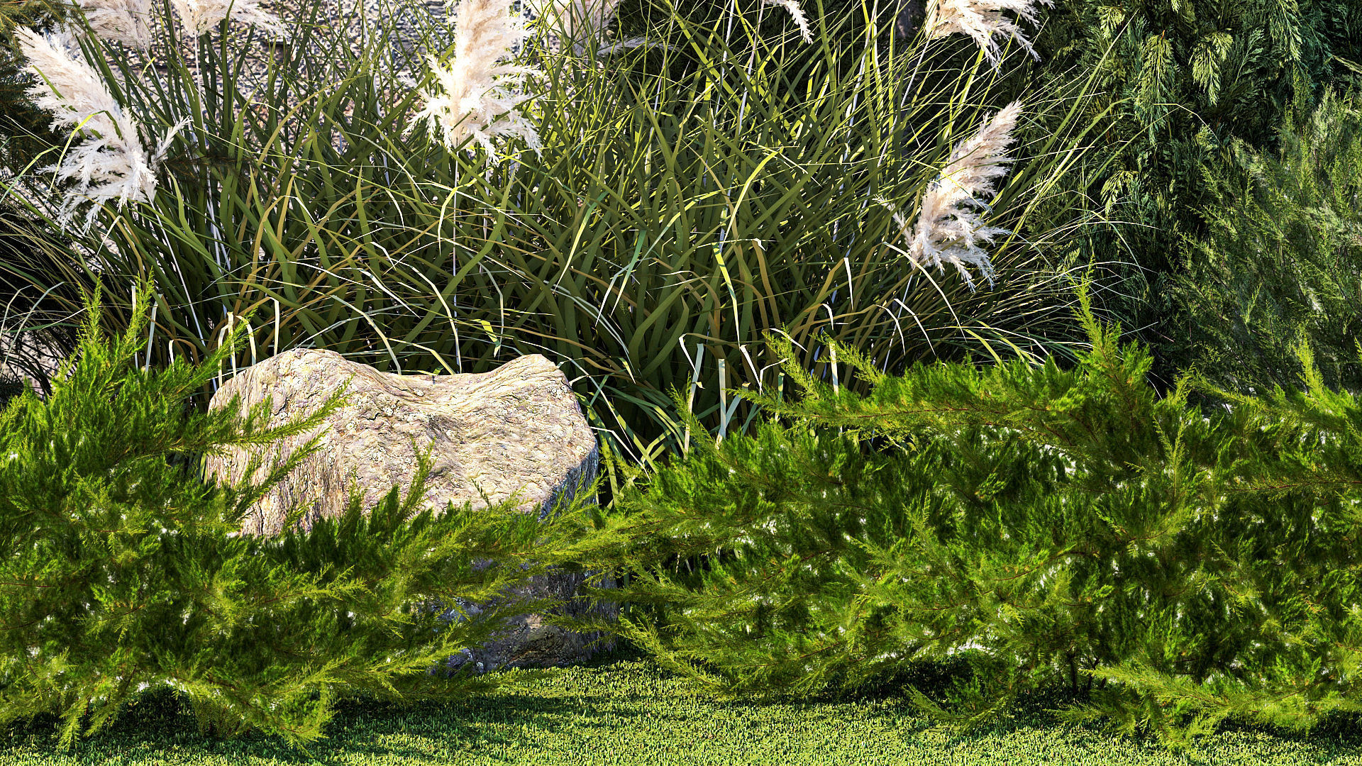 Garden with thuja cypress tree and pampas grass reed grass 1383 3D model | CGTrader