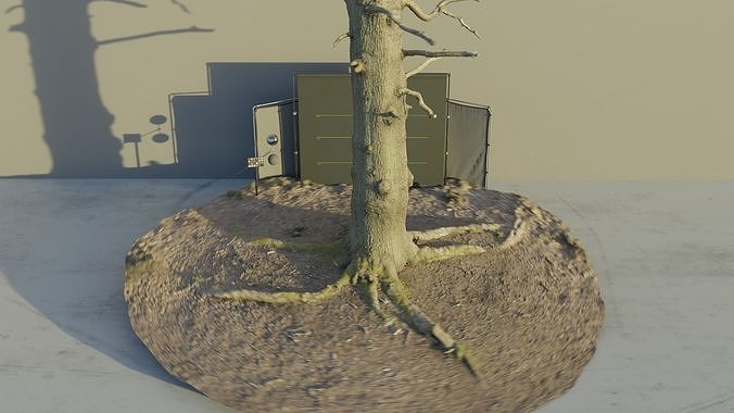 3D model Photogrammetry Model of a Tall Mossy Tree VR / AR / low-poly ...