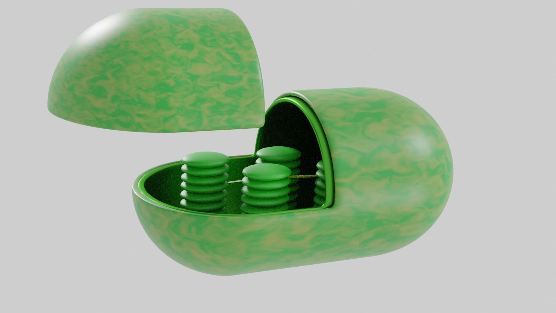 chloroplast 3D model | CGTrader