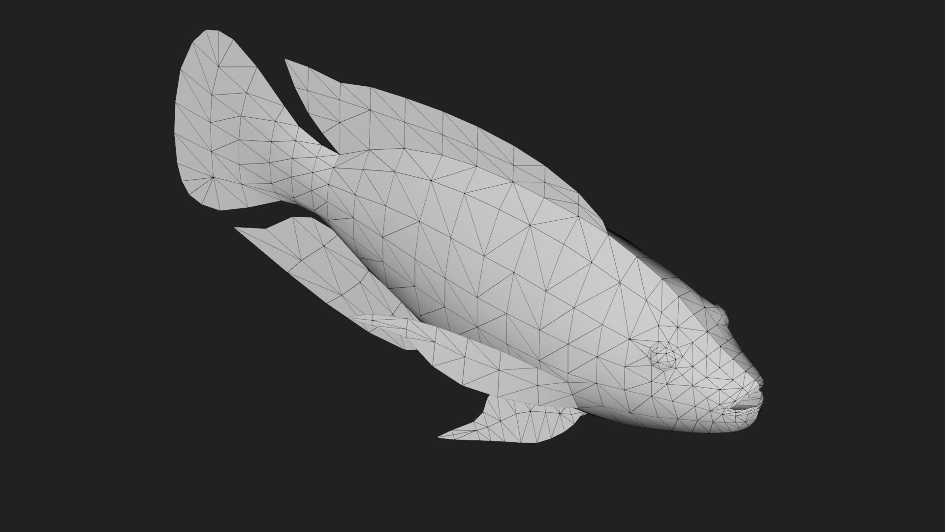 Cichlid 3D model rigged | CGTrader