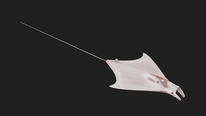 Devilfish 3D model rigged | CGTrader