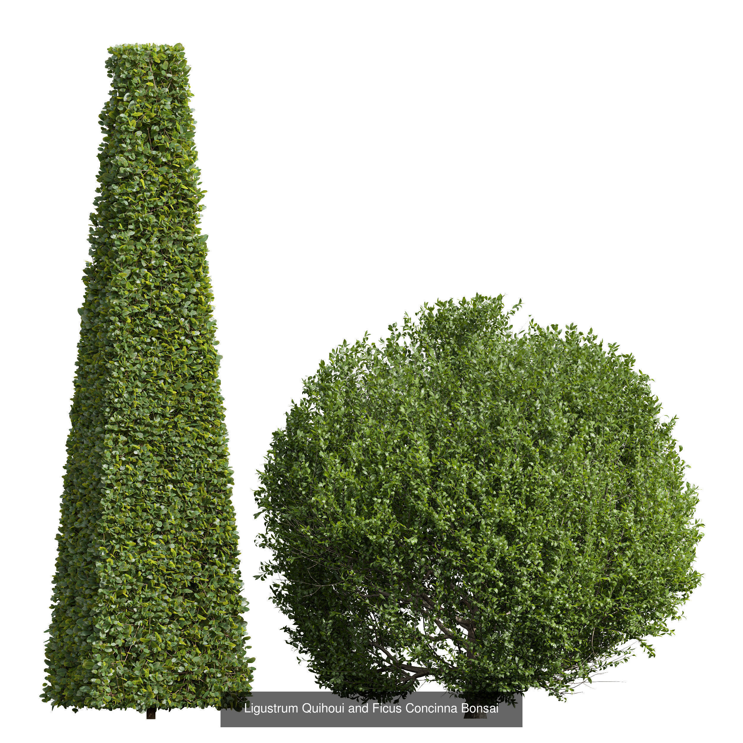 6 Different SETS of Bush SET VOL24 3D Model Collection | CGTrader