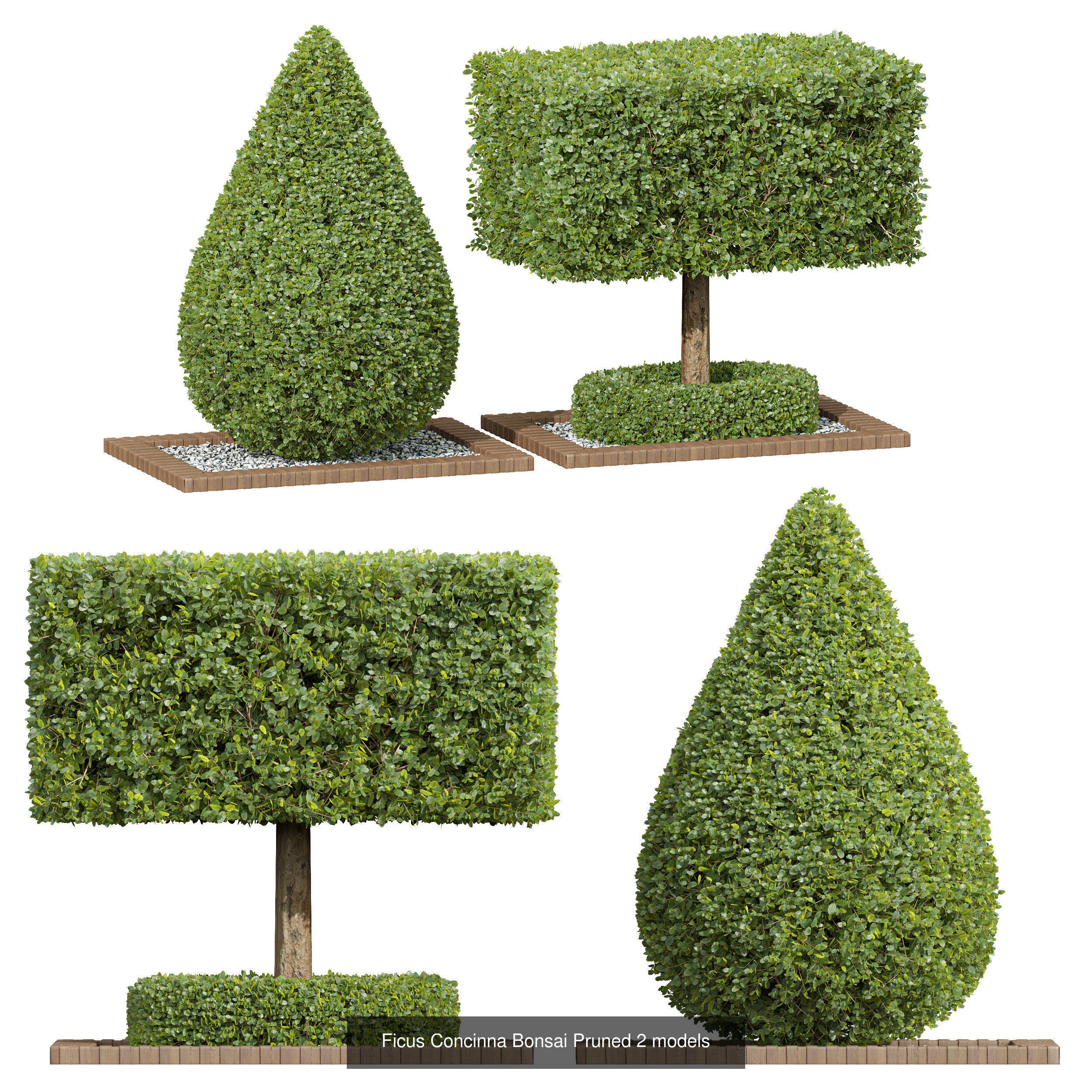 6 Different SETS of Bush SET VOL24 3D Model Collection | CGTrader