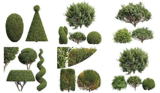 6 Different SETS of Bush SET VOL25 3D Model Collection | CGTrader