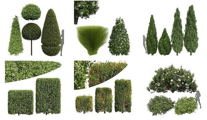 6 Different SETS of Tree Bush SET VOL27 3D Model Collection | CGTrader