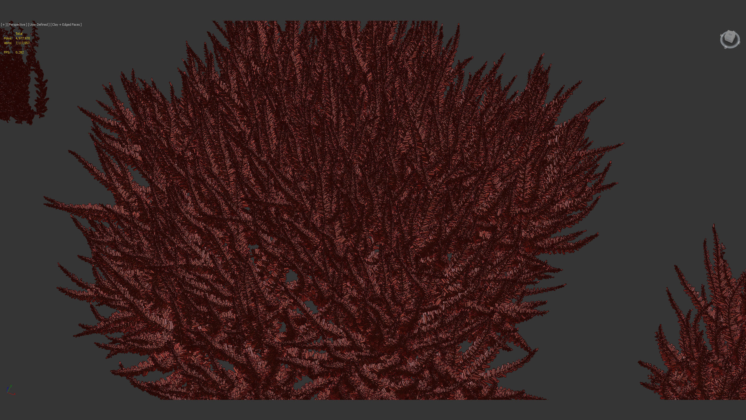 Calluna vulgaris Scotch Heather 3D model | CGTrader