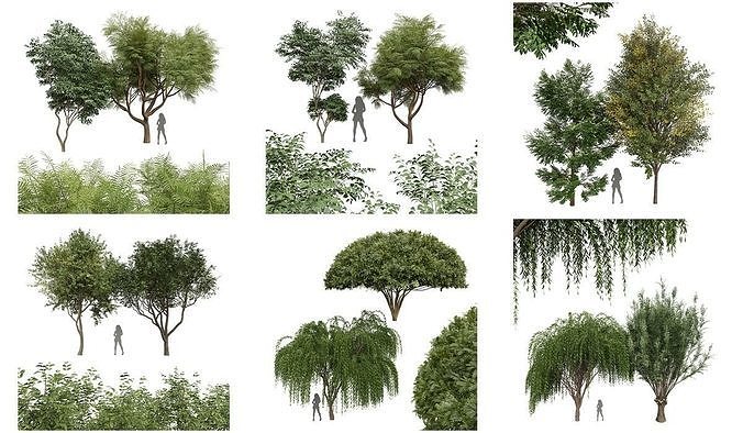 6 Different SETS of Tree SET VOL28 3D Model Collection | CGTrader
