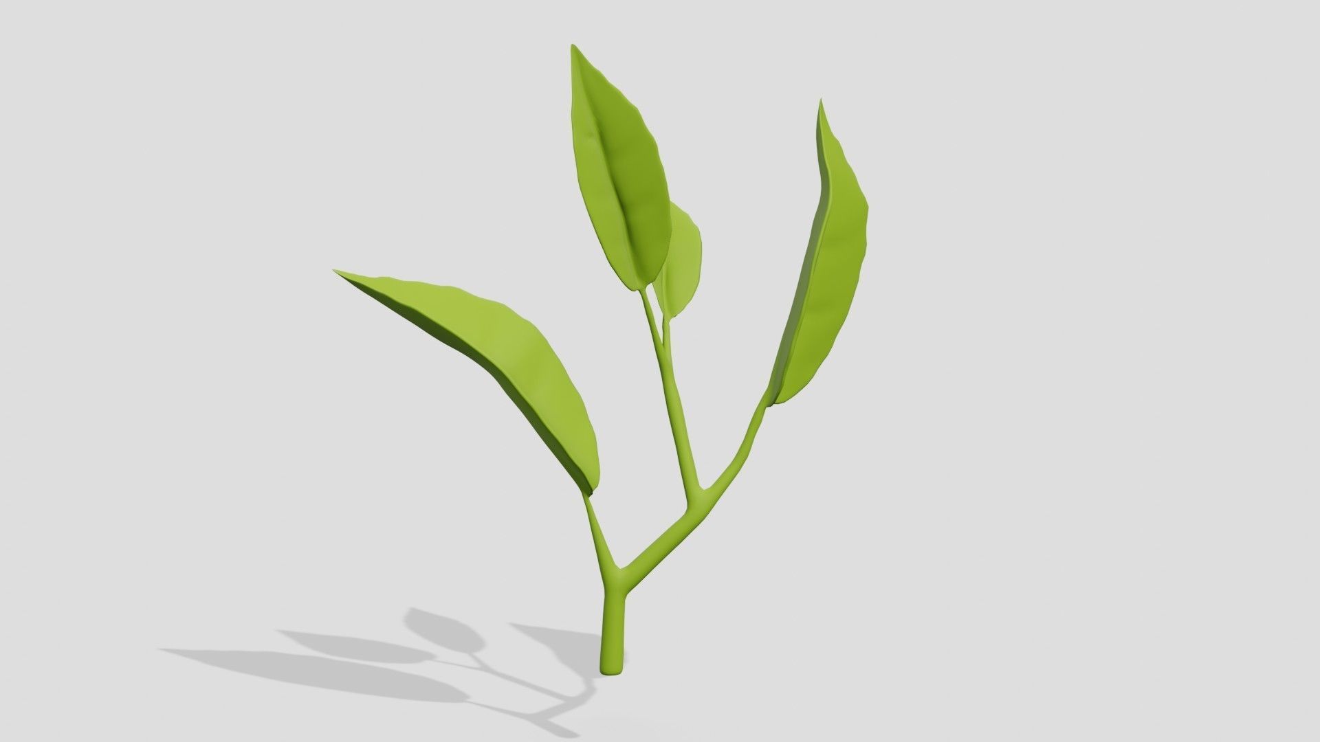 Tea plant branch with green leaves 3D model | CGTrader
