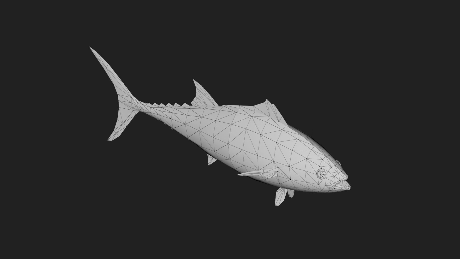 Tuna fish 3D model rigged | CGTrader
