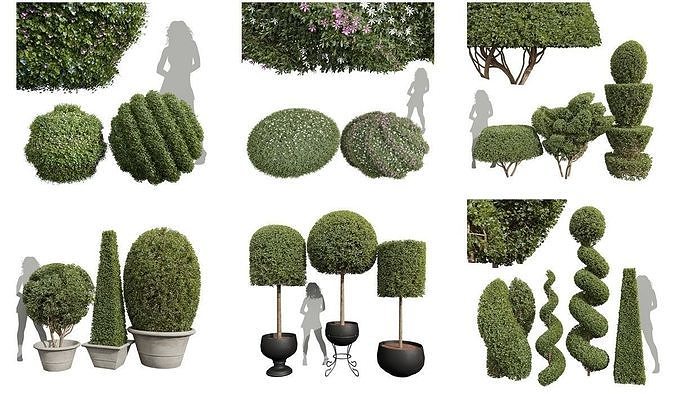 6 Different SETS of Bush SET VOL36 3D Model Collection | CGTrader