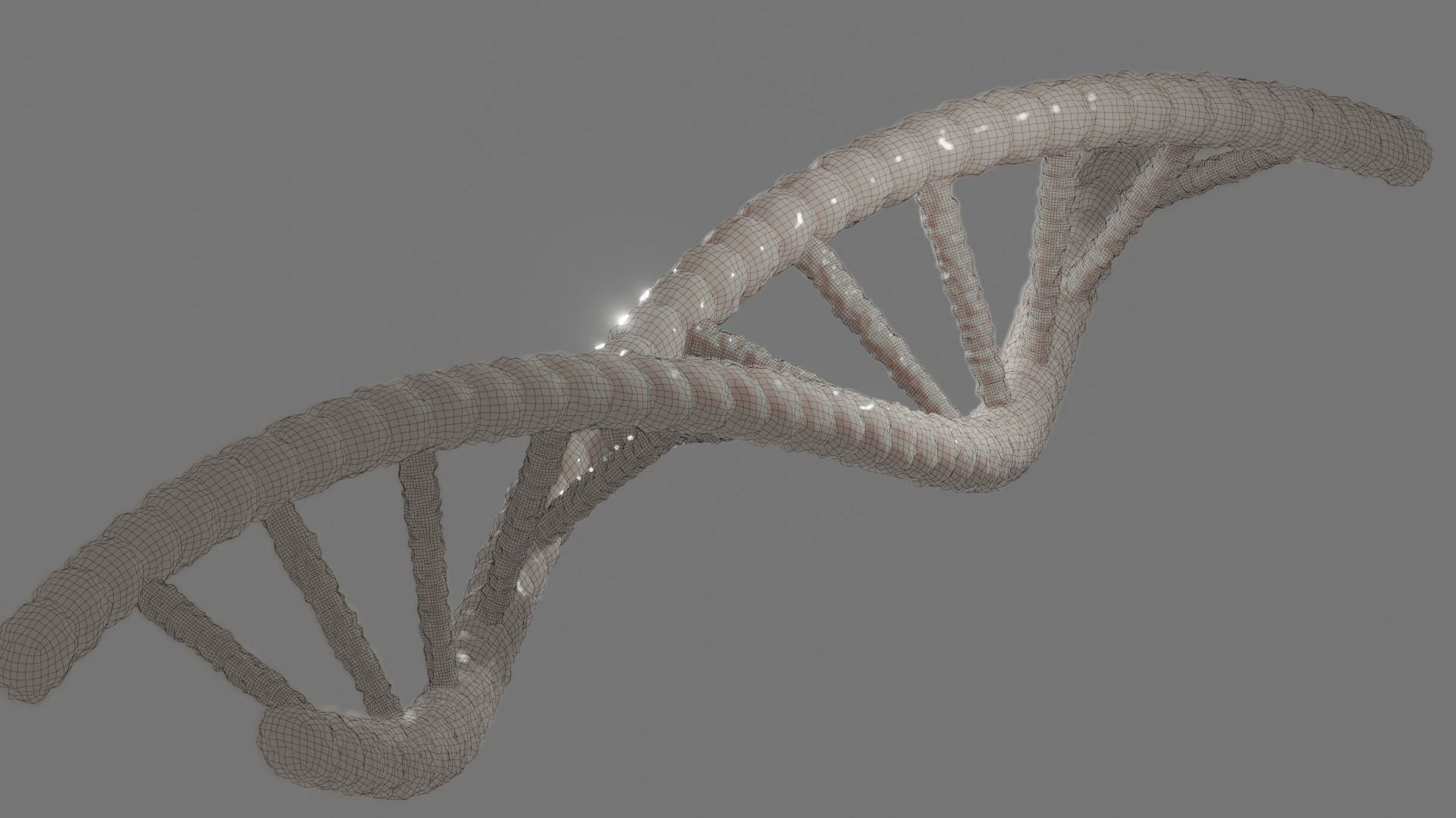 Professional realistic DNA Fragment 3D model free 3D model | CGTrader