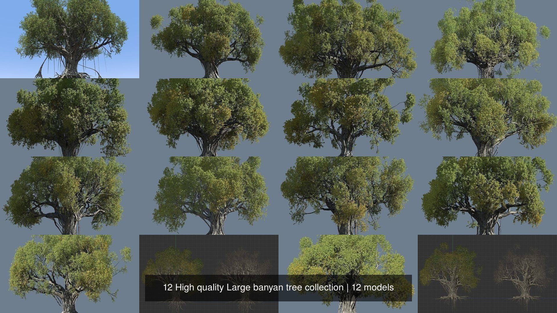 12 High quality Large banyan tree collection | CGTrader