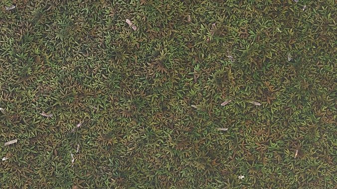 bumpy plant field 4K Texture | CGTrader