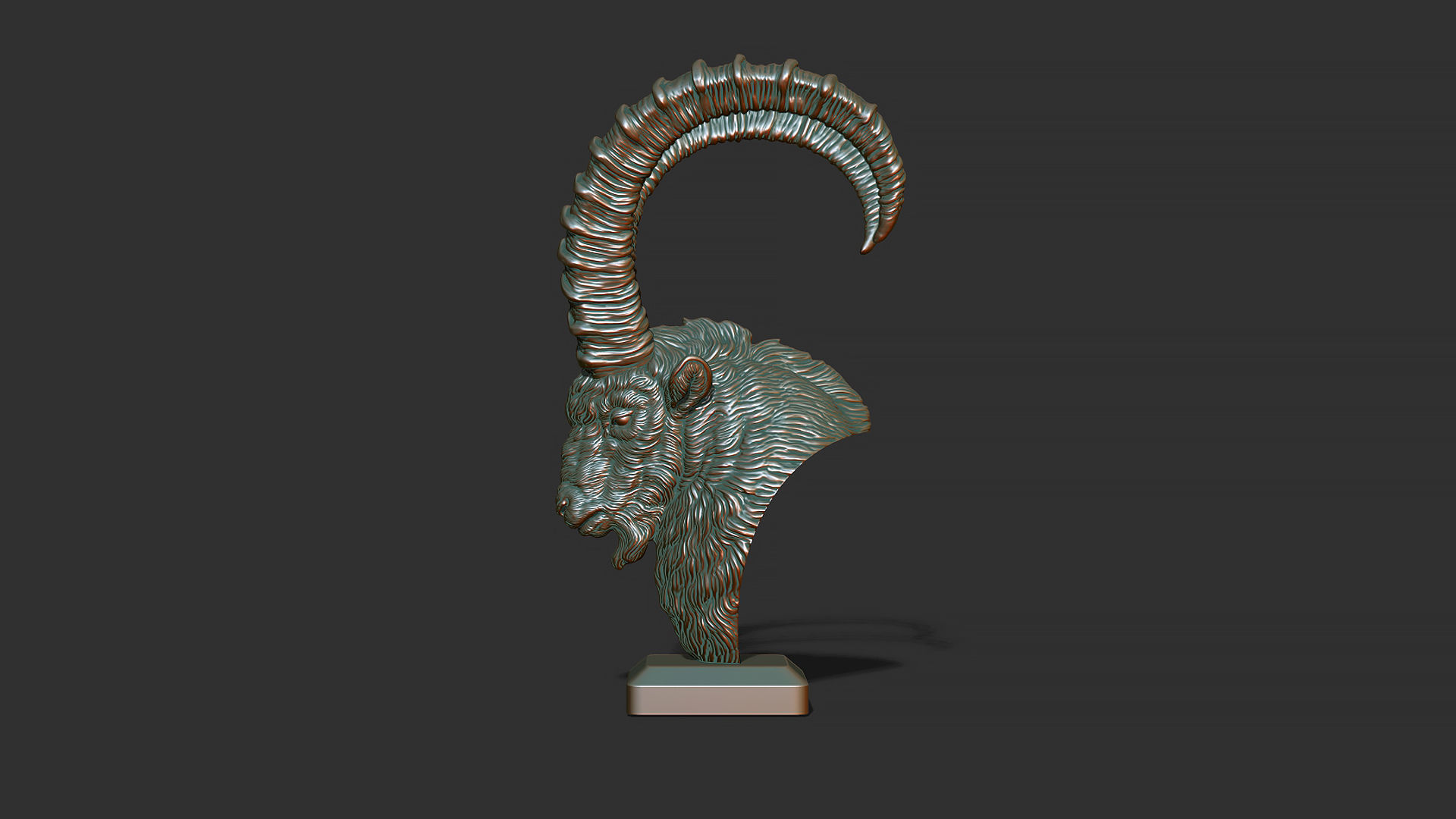 Nubian Ibex bust 3D model 3D printable | CGTrader