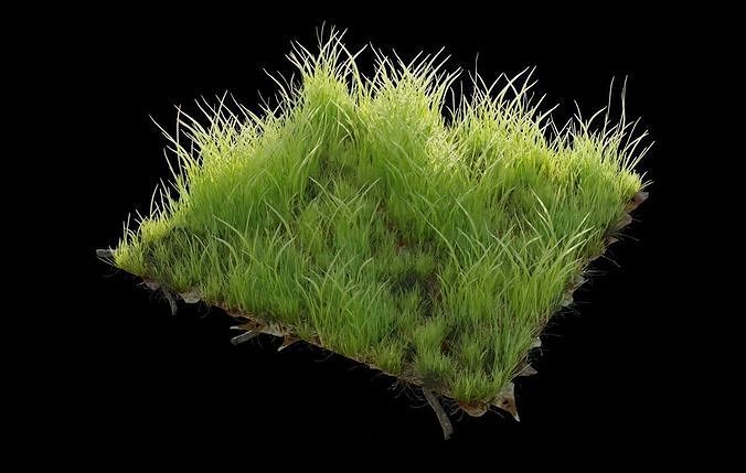 3D model Realistic Grass Generator VR / AR / low-poly | CGTrader