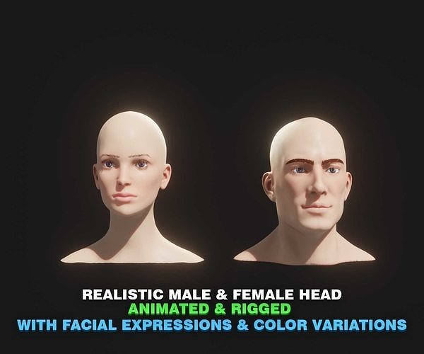 3D model Realistic Male Female Head 3D Model Animated Facial ...