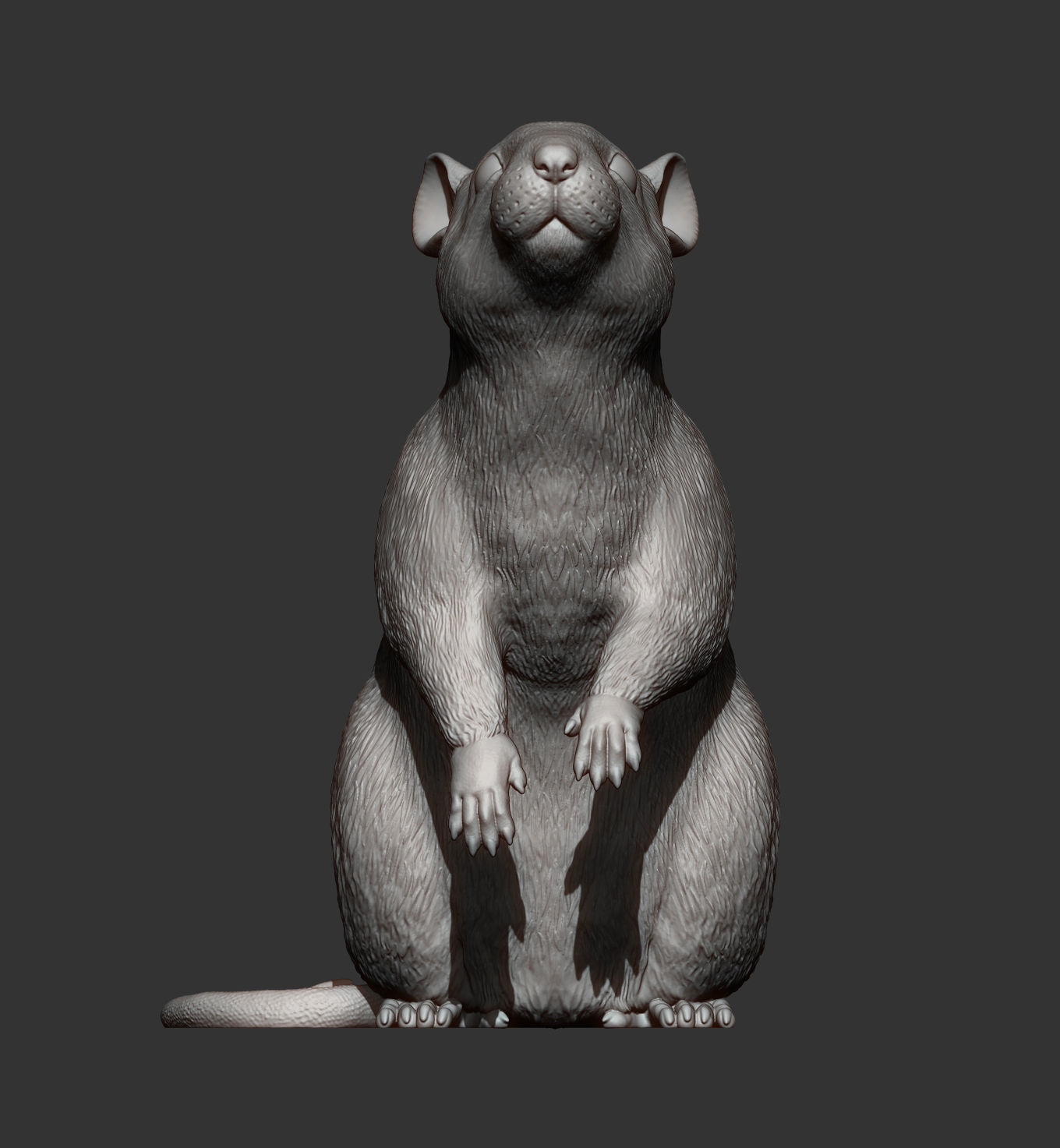 Rat on hind legs 3D model 3D printable | CGTrader
