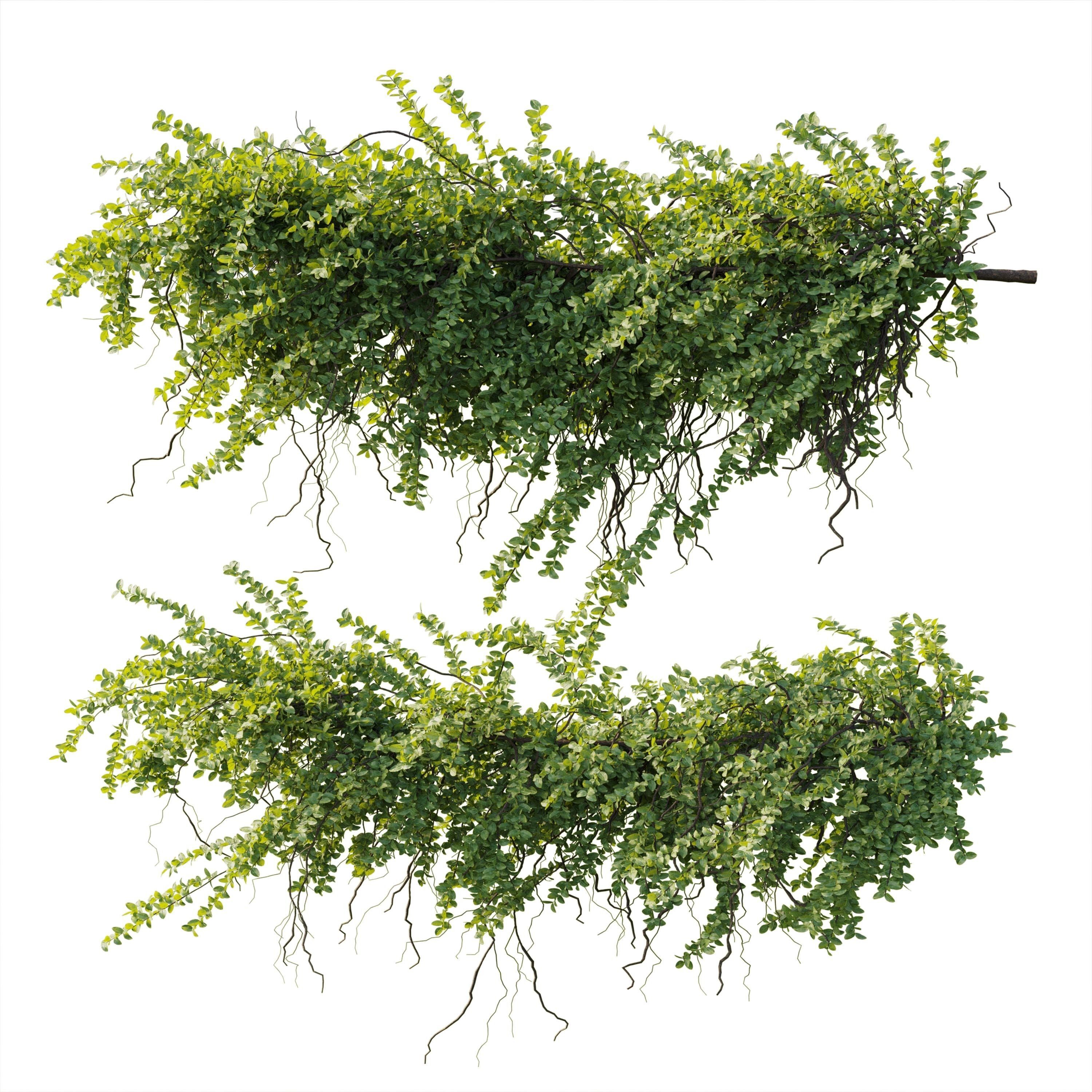 3D model plants hanging ivy- outdoor garden set 168 VR / AR / low-poly ...