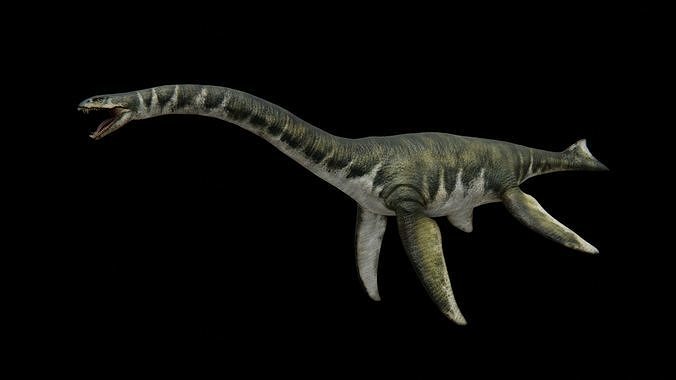 3D model Zarafasaura - Plesiosaurs Elasmosaurs VR / AR / low-poly ...